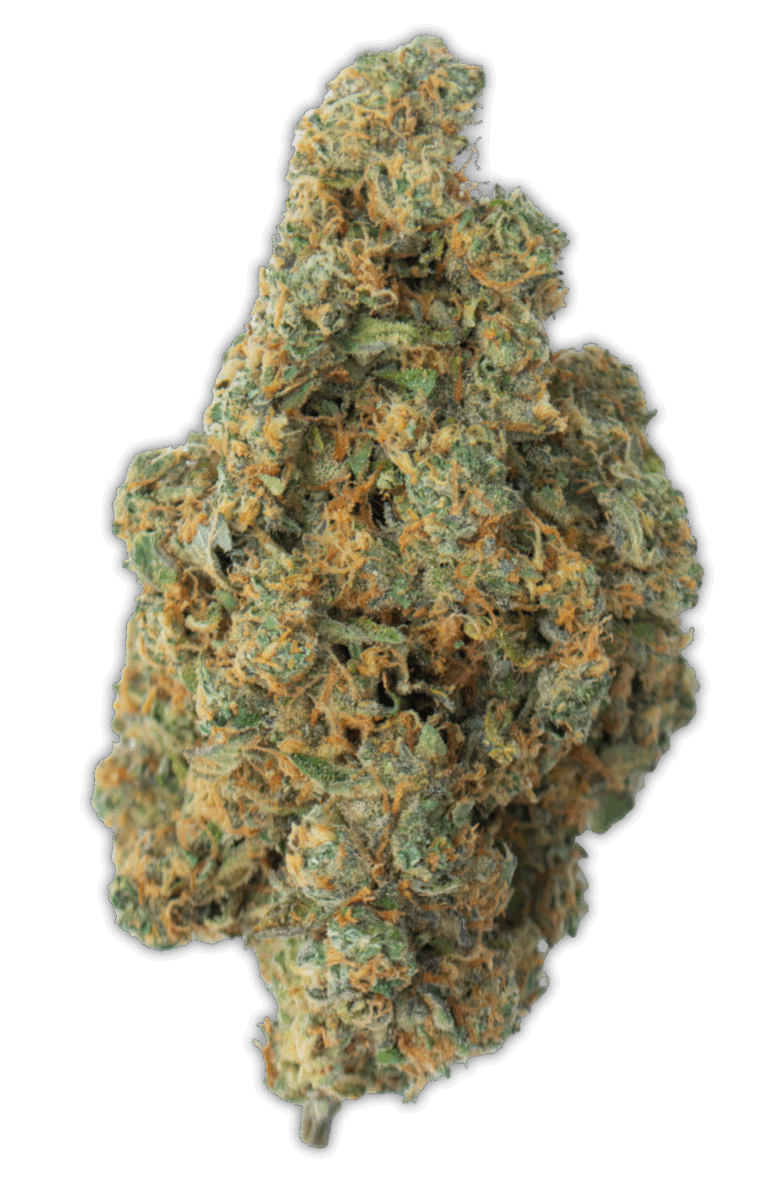 Frosted Cookies Weed Strain Information & Where to Buy