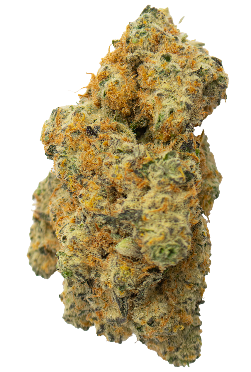 Zinn Hurricane Weed Strain Information & Where to Buy